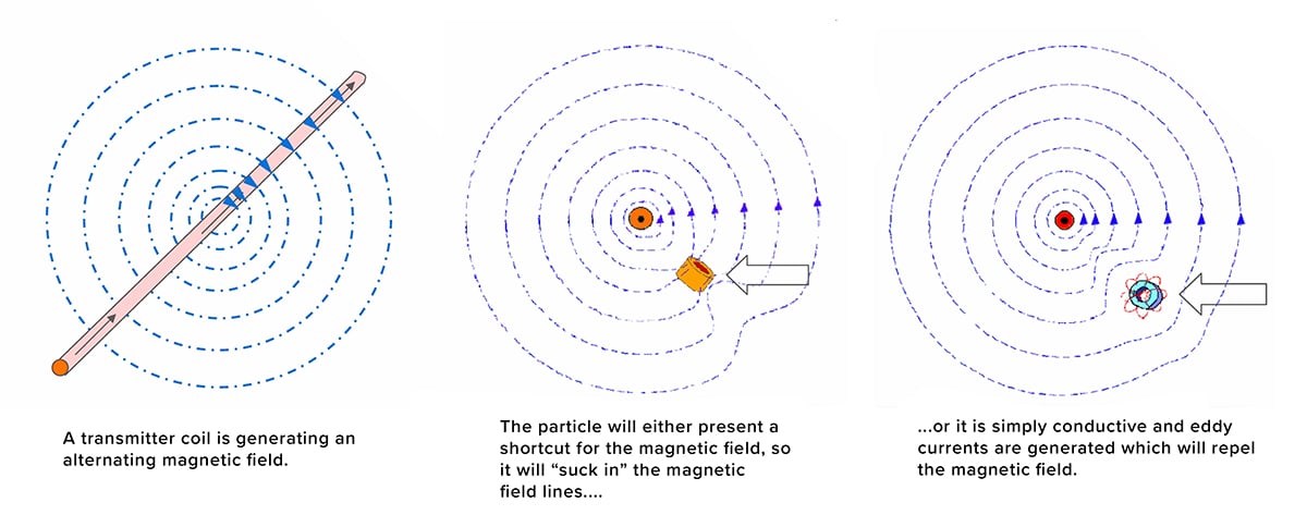 How Do Metal Detectors Work? Understanding Frequencies and Best Practices